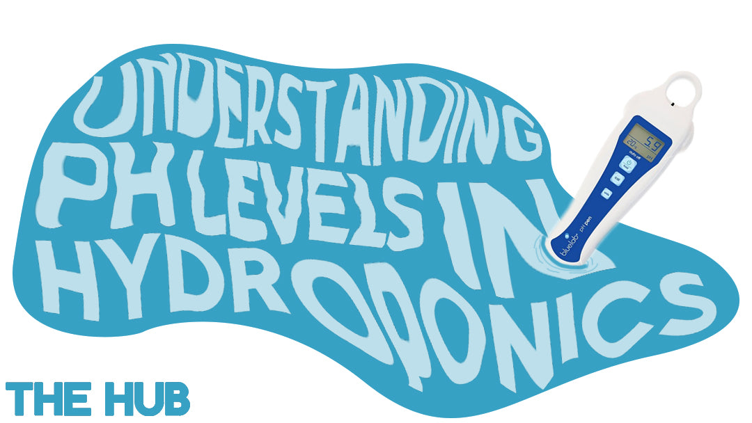 Understanding PH in Hydroponics – Growers Hub