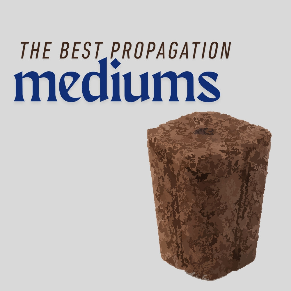 The Best Propagation Medium – Growers Hub
