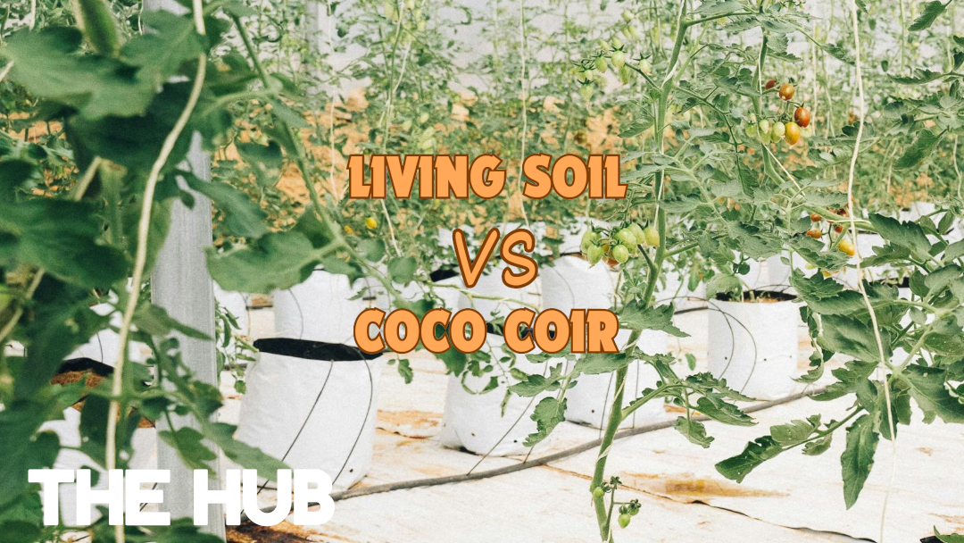 Living Soil Vs Coco Coir – Growers Hub