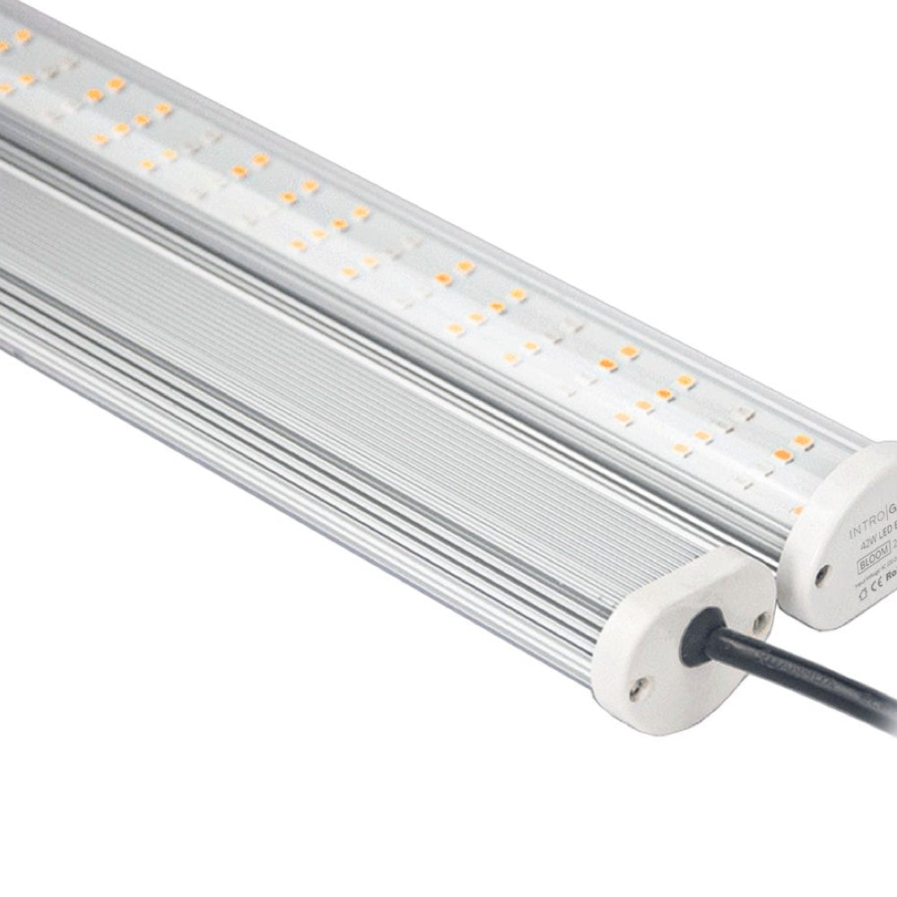 Introgro 26w Led Grow Bar - Linkable – Growers Hub